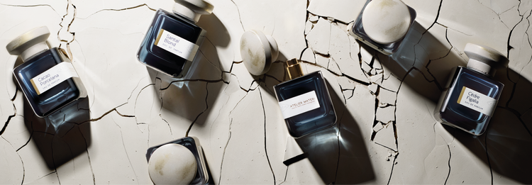 Neeche Perfumeria – Neeche Haute Parfumerie