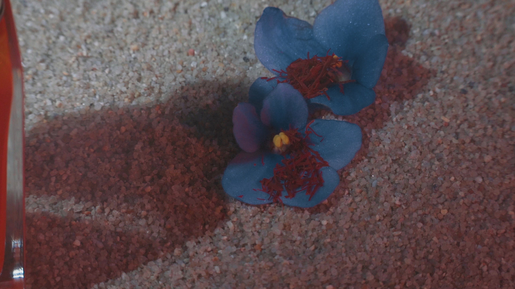 Neeche Perfumeria – Neeche Haute Parfumerie