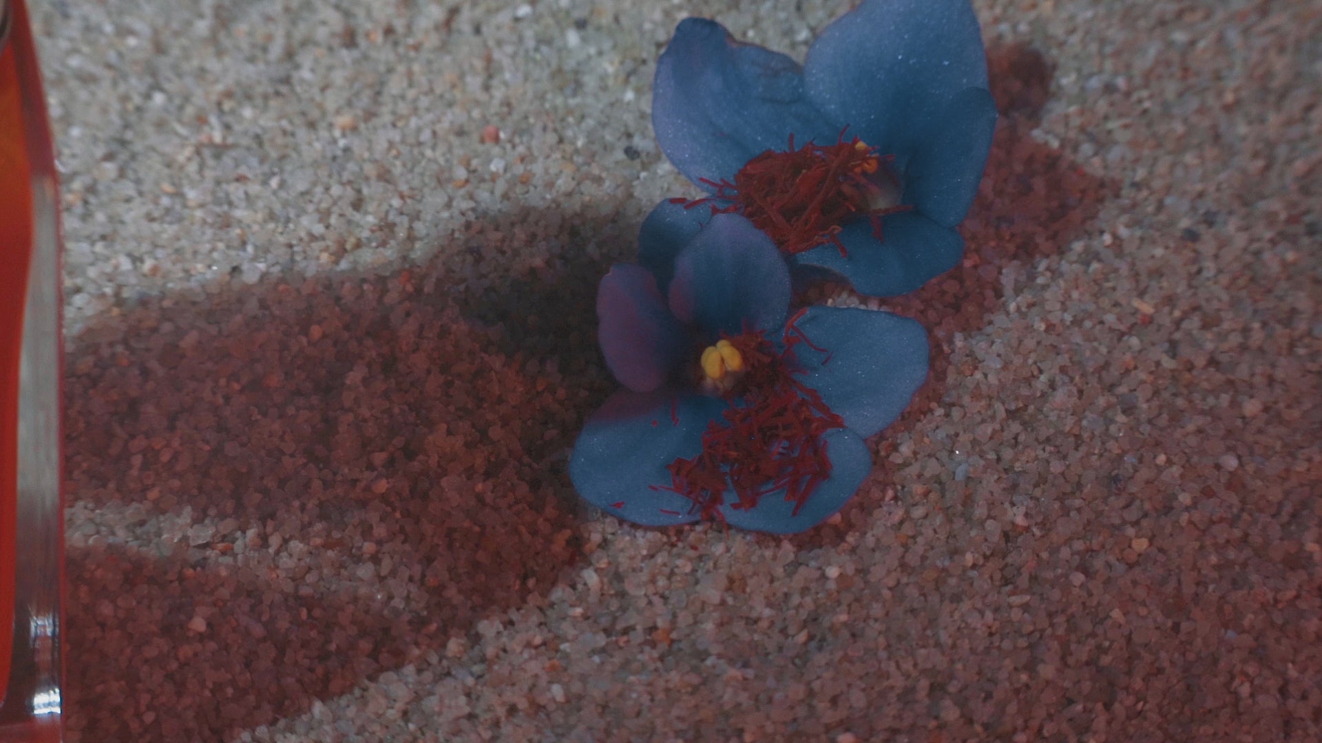 Neeche Perfumeria – Neeche Haute Parfumerie